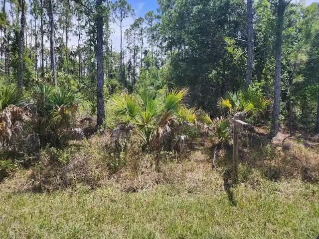 Lot 12 Silverleaf Rd, North Port, FL 34288 MLS C7494329