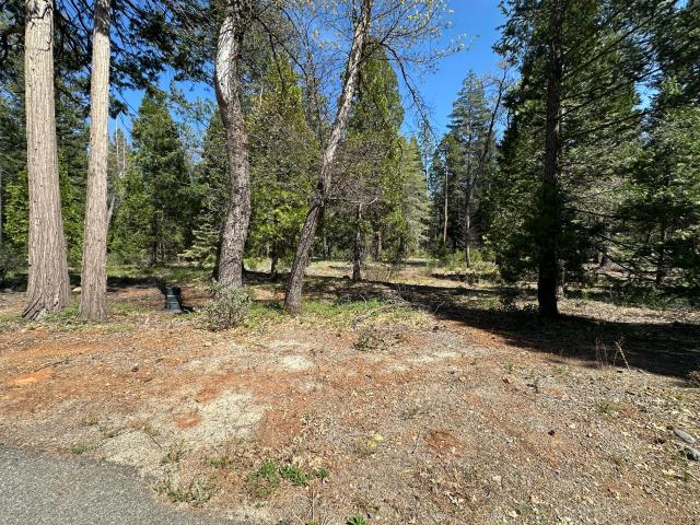Lot 12 Speargrass Court