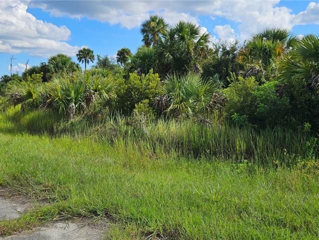 Lot 12 Stuckert St Port, North Port, FL 34288 | MLS #2025011 | Compass