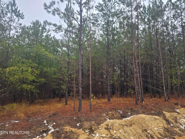 Lot 12 Stirrup Lane
