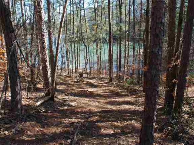 Lot 12 Pointes St N, Unit WHISPER LANE, Salem, SC 29676 | MLS #20196