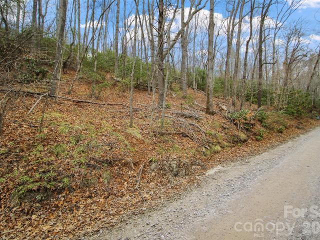 Lot 12 Patton Thicket Road
