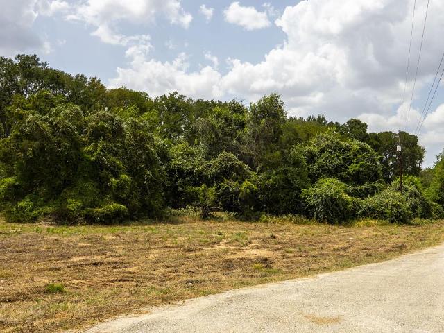 Lot 12 Patti Cv S