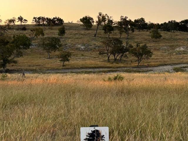 Lot 12 Pinnacle Dr, Fredericksburg, TX 78624 | MLS #98856