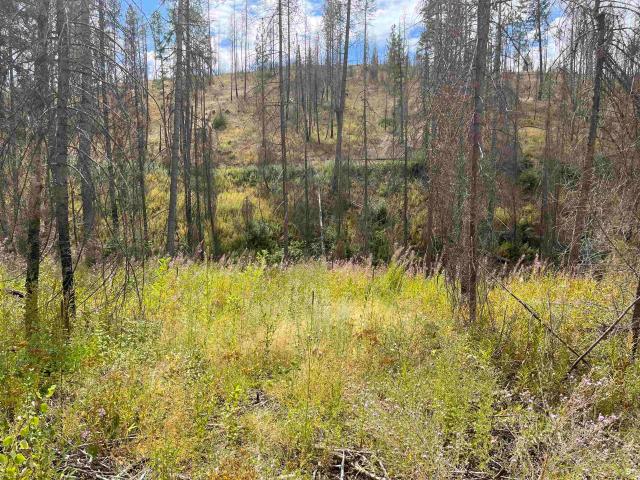 Lot 12 Rail Canyon Rd, Tumtum, WA 99034 | MLS #202413