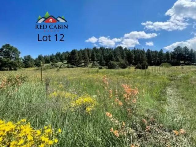 Lot 12 Red Cabin Ranch, Vernon, AZ 85940 MLS 253380