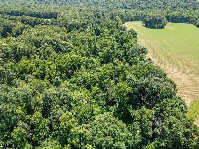Lot 12 TOwnship Rd 51
