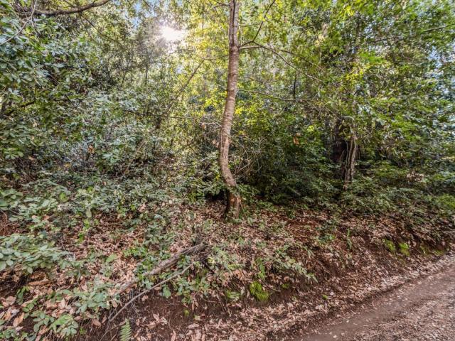 Lot 12 Vera Ave, Felton, CA 95018 | MLS #ML82013