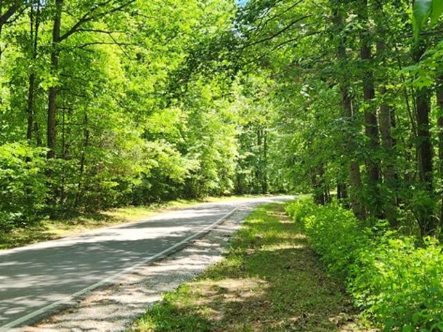 Lot 134 Hillis Cemetery Rd