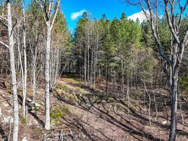 Lot 1350 Split Rail Way
