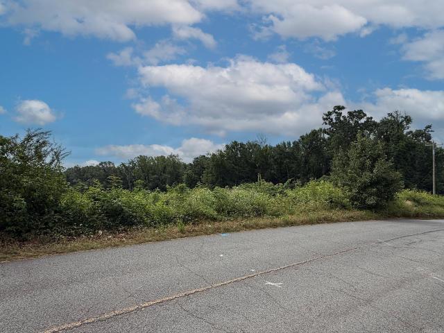 Lot 135 N Stagecoach Road