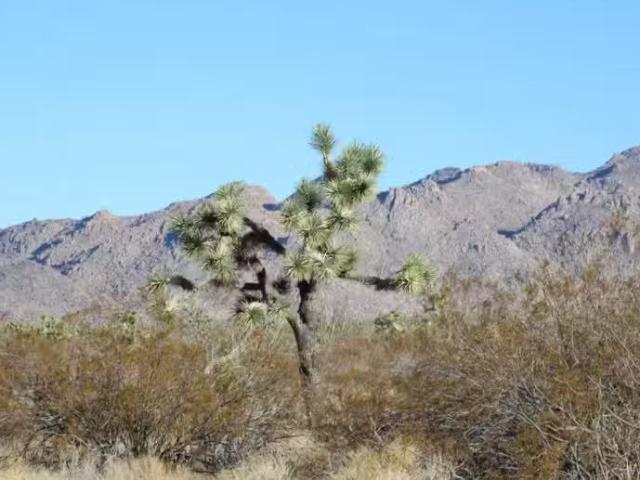 Lot 135 E Mission Rd, Yucca, AZ 86438 MLS 026230