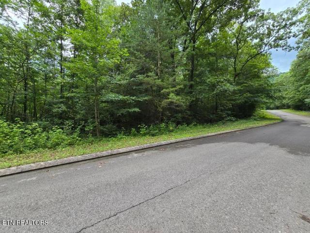 Lot 135 Lower Brow Rd, Dunlap, TN 37327