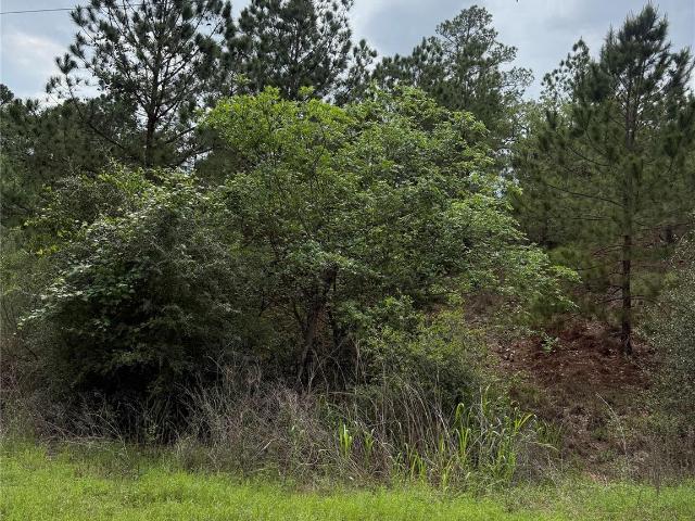 Lot 1360 N Kuapo Dr
