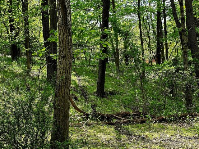 Lot 136 Brokers Lane