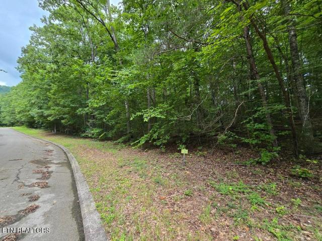 Lot 136 Lower Brow Rd, Dunlap, TN 37327