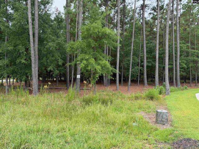 Lot 136 Stewart Landing Drive Lot 136