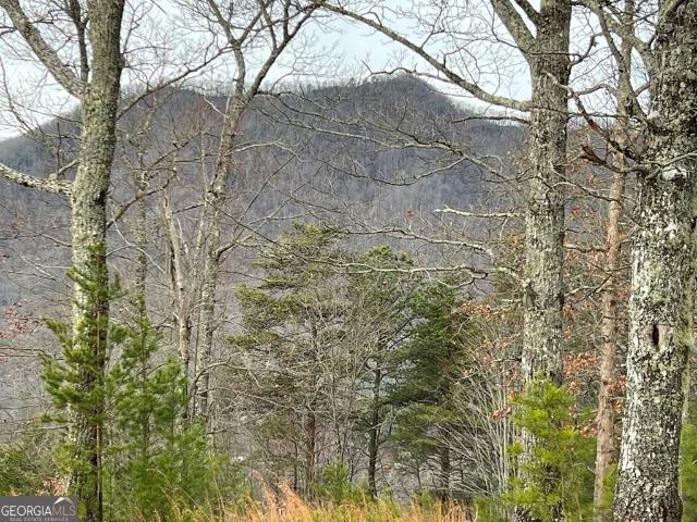 LOT 137 Shiloh Ridge