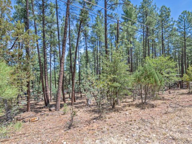 Lot 138 Marcy Way, Unit 138, Pine, AZ 85544 | MLS #6993 | Compass