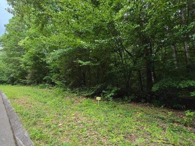 Lot 138 Lower Brow Rd, Dunlap, TN 37327
