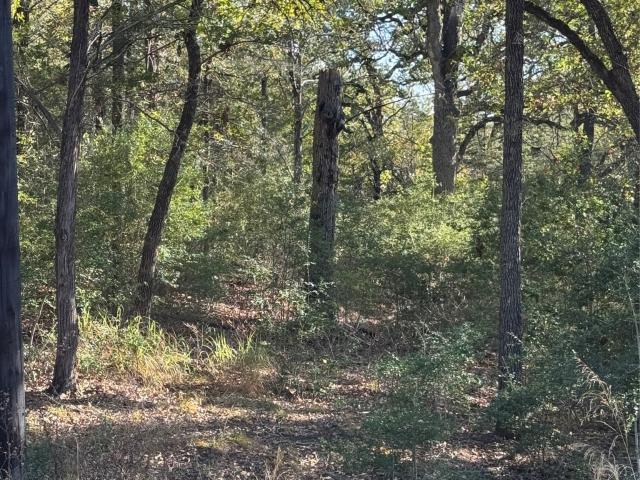 Lot 130 Wailupe Cir, Bastrop, TX 78602 | MLS #1143 | Compass