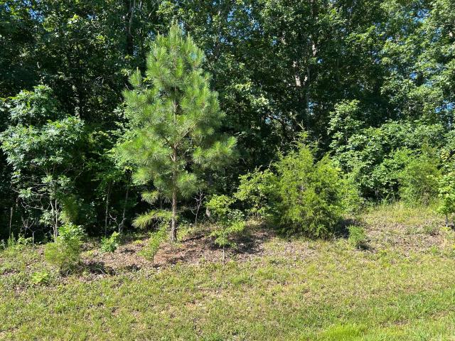 Lot 131 Deepwood Drive