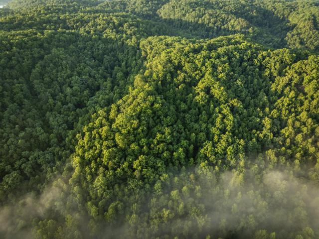 Lot 131 133 Highland Heights