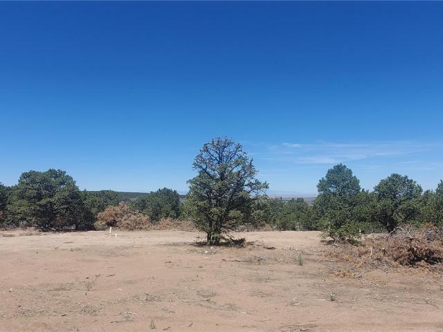 Lot 1321 Michaels Road