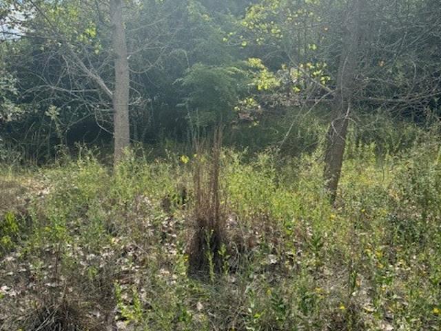 Lot 1338 Tahitian Dr, Bastrop, TX 78602 | MLS #2629