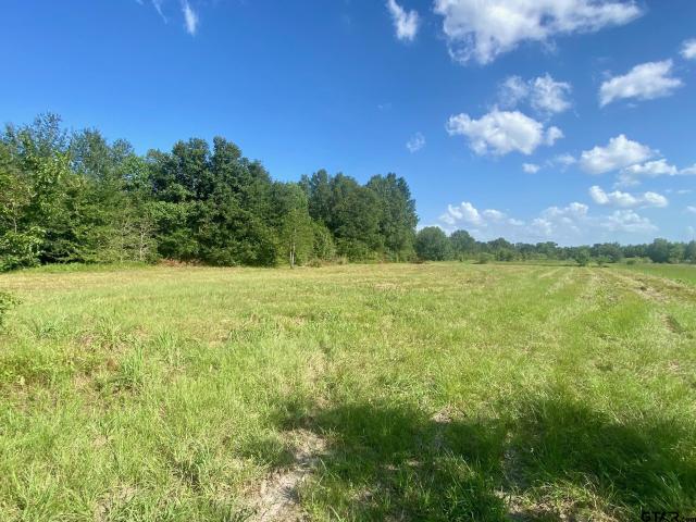 Lot #133 J B McDuff Dr, Crockett, TX 75835 | MLS #24010