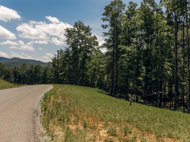 Lot 133 Ridges Of Blue Ridge, Morganton, GA 30560 | MLS #414783