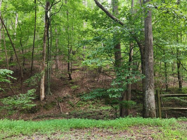 Lot 133 Shiloh Ct, Ellijay, GA 30540 | MLS #417634