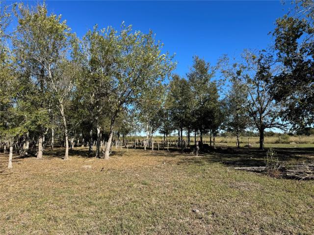 LOT 13 0 Mesquite Road