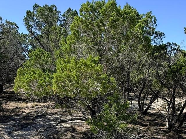 LOT 13 22Nd