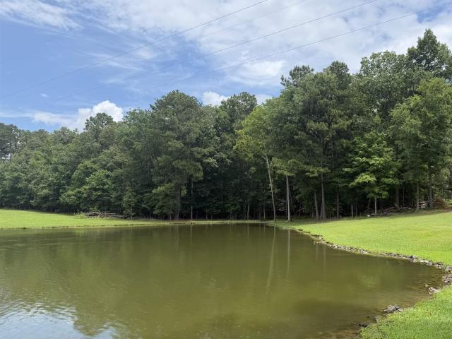 Lot 13 County Road 131