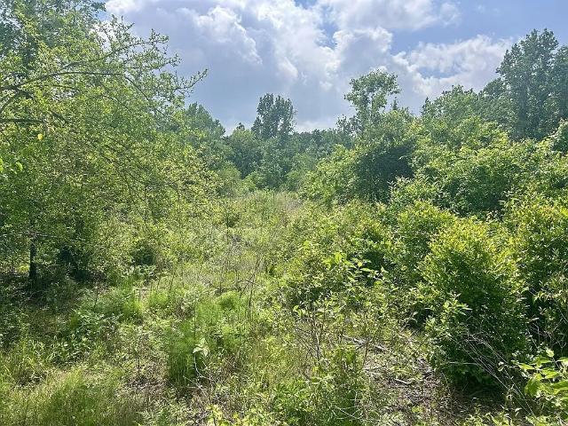 Lot 13 County Road 175