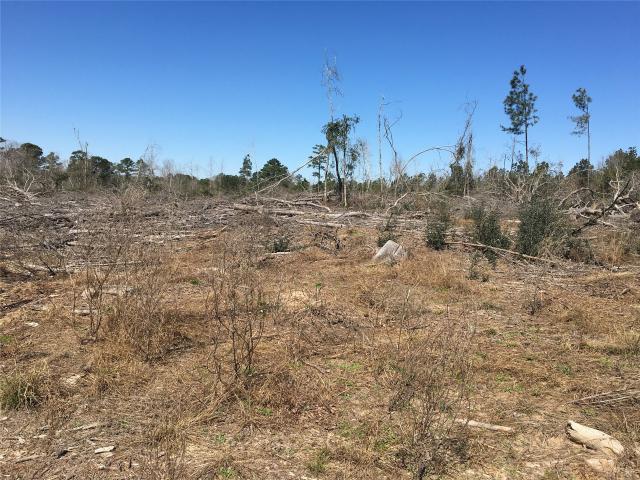 Lot 13 County Road 175