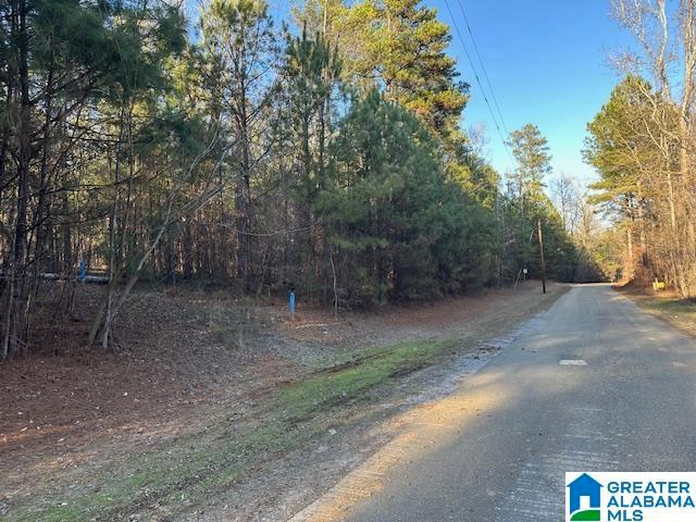 Lot 13 county road 730 # 1
