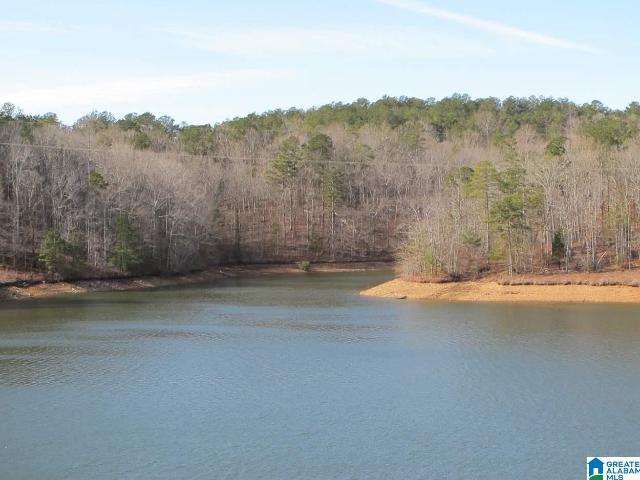 Lot 13 county road 99 # 13