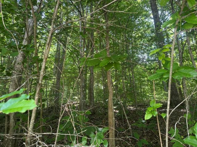 Lot 13 Apache Rd
