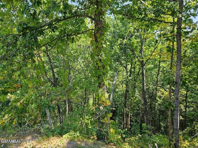 Lot 13 AR Villa Ridge Place