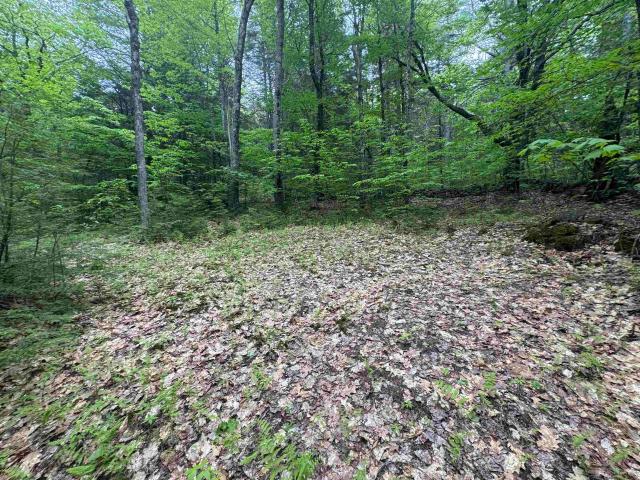 Lot 13 Beach Pond Road