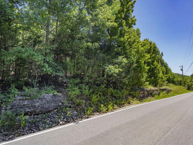 Lot 13 Blue Heron Shores