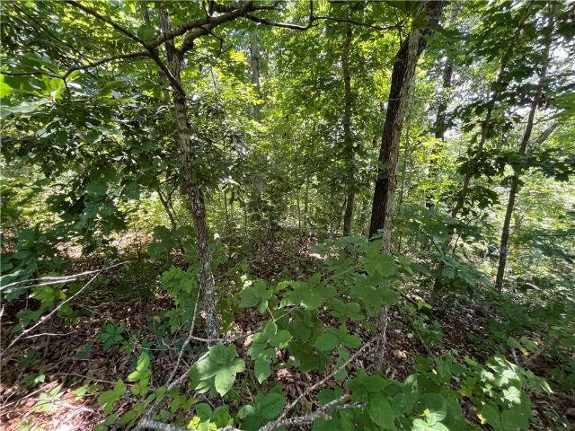 Lot 13, Block 1 Halford Lane