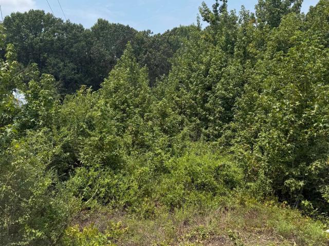 Lot 13 Gamble Lane