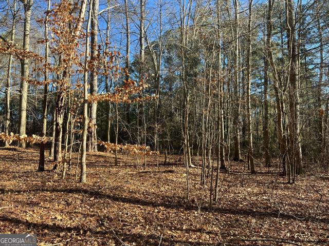LOT 13 Harlan Lane Road