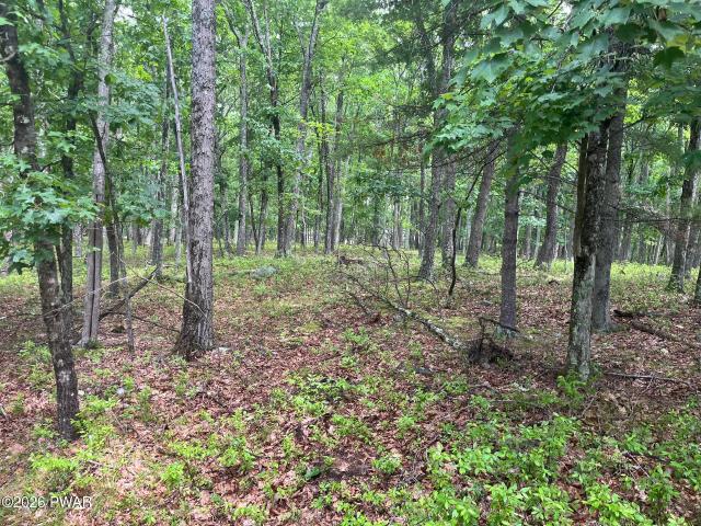 Lot 13 Ledgecrest Road