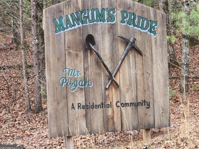 LOT 13 Mangums Trail