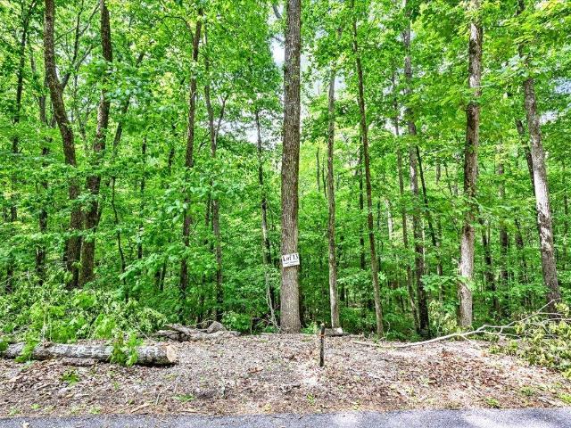 Lot 13 Mill Creek Rd