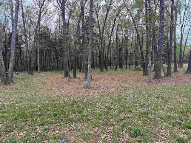 Lot 13 Shiloh Landing Pointe